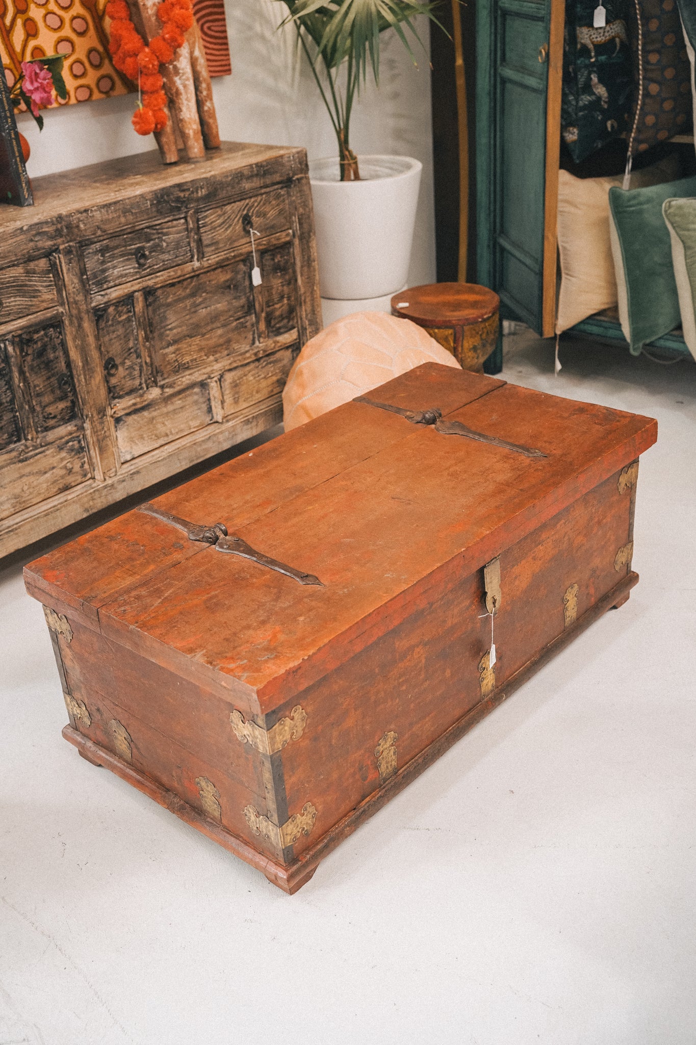 Alexis Coffee Table Trunk | mydivinehome